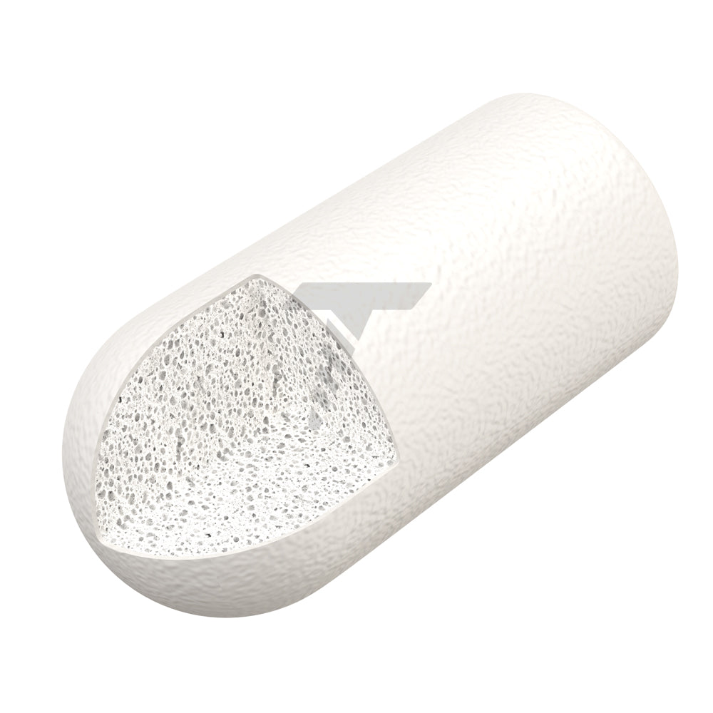 GDT Sponge Bovine Grafting Plug: Membrane Bone Regeneration